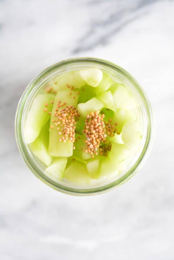 Homemade German Pickles - Senfgurken - Nourished Simply